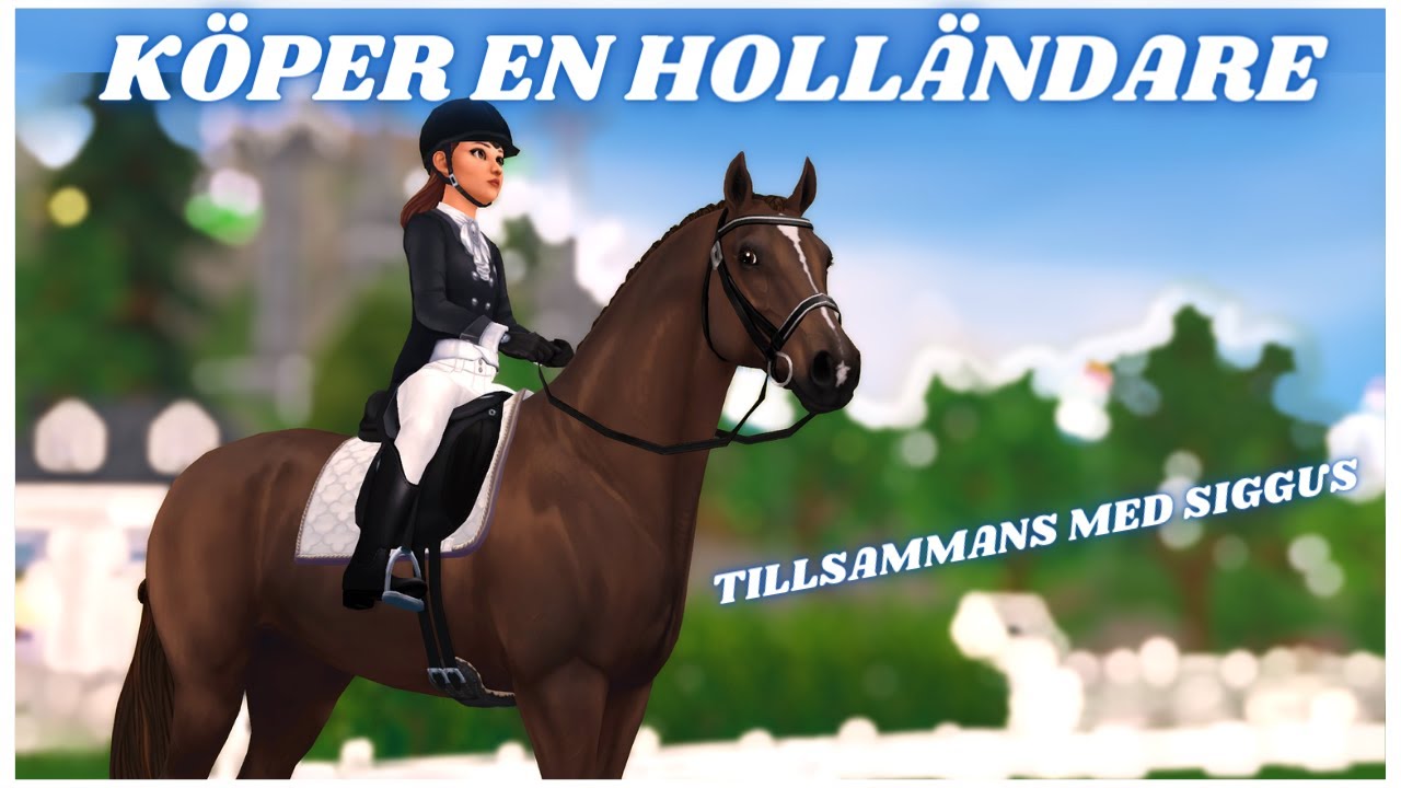 SSO - Köper ett holländskt varmblod - YouTube