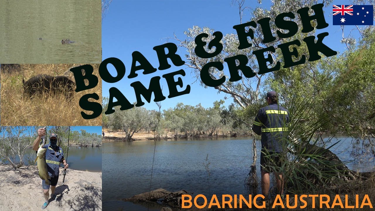 FAMILY PIG HUNTING & FISHING TRIP - Hunting Wild Boars Australia and ...