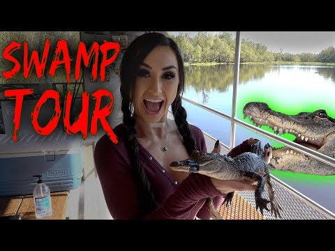 GATOR HUNTING | LOUISIANA SWAMP