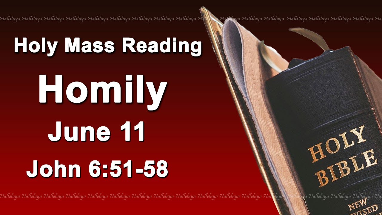 Homily Sunday June 11 2023 I Catholic Mass Reading And Reflections I ...