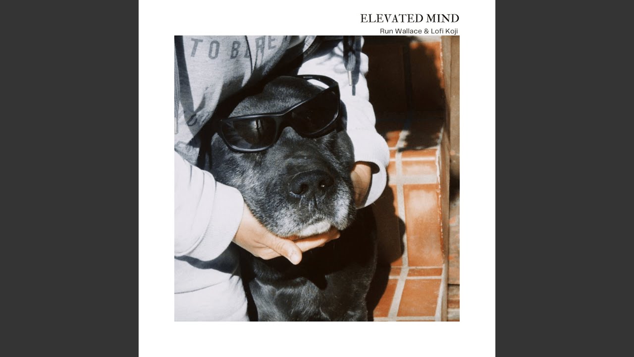 Elevated Mind - YouTube