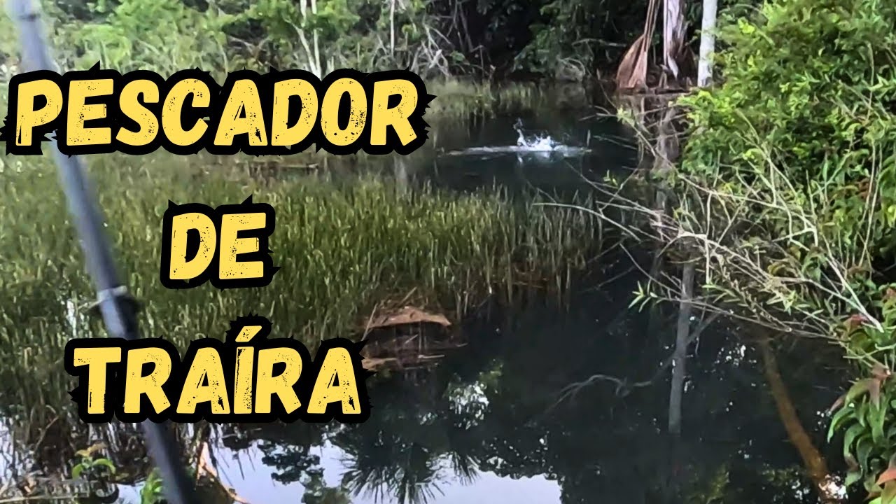Pescador de Traíra #fish #fishing #pescaria #peixe #iscaartificial # ...