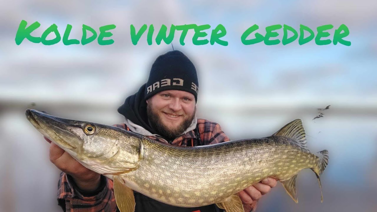 Kolde Vinter Gedder - YouTube