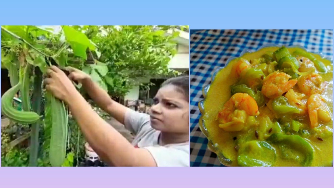 Peerkangai Iral Sothi | Gourd Sothi Recipe In Tamil - YouTube