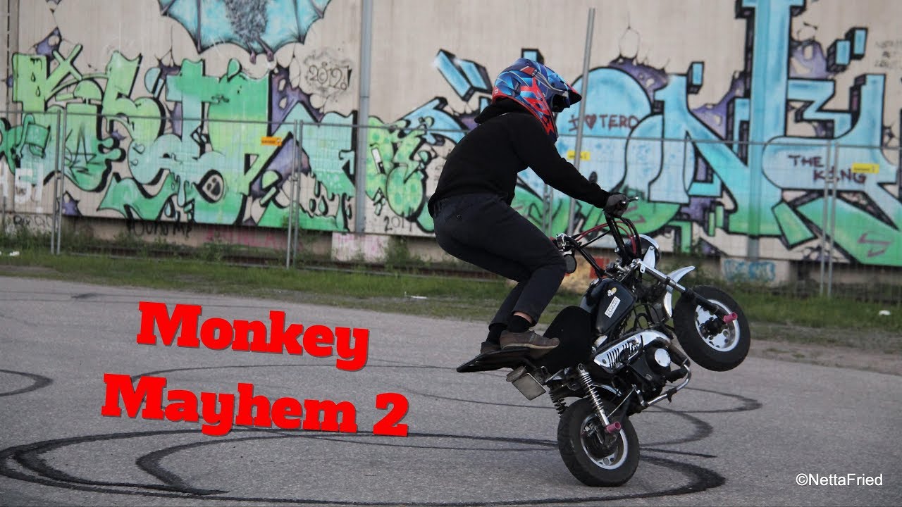 Monkey Mayhem 2 - YouTube