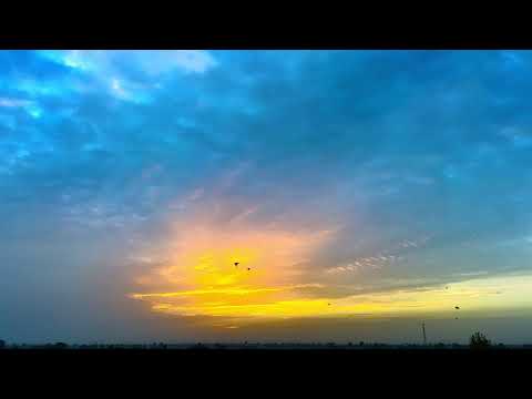 WOW…Best WhatsApp Status Morning Sunlight – 50 Sec of Peace ✌️♥️