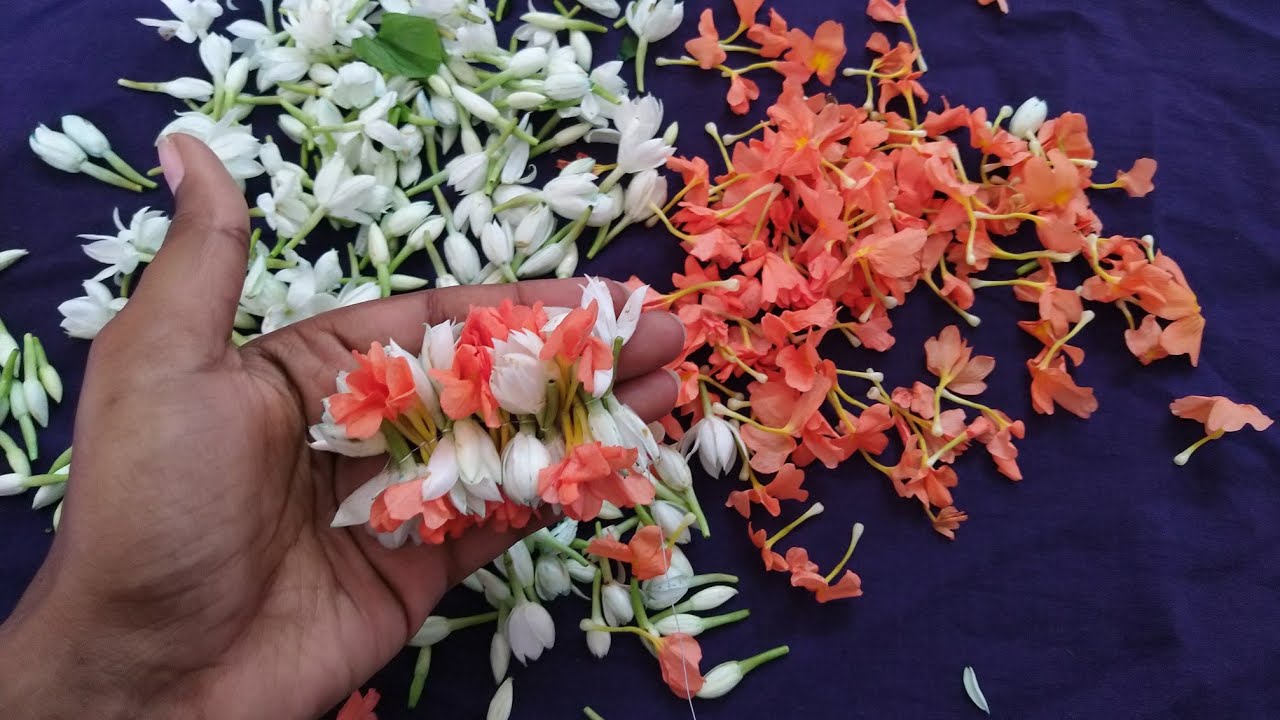 KAGADA JASMINE Flowers & KANAKAMBARA flowers Garland - YouTube