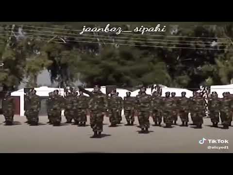 Pak Army, Dolphin Force on TIK TOK