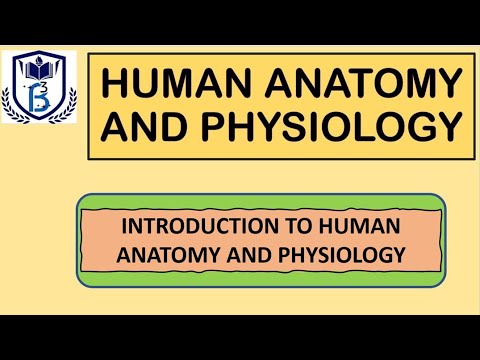 Introduction to human anatomy and physiology|| D.Pharm 1st year || B ...