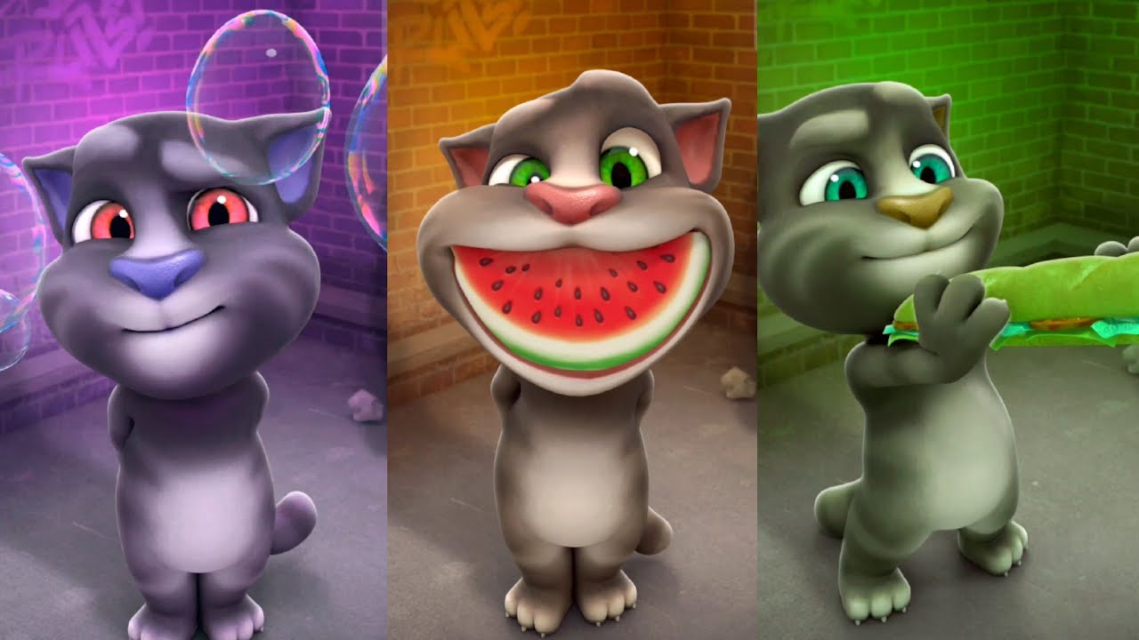 talking tom cat - YouTube