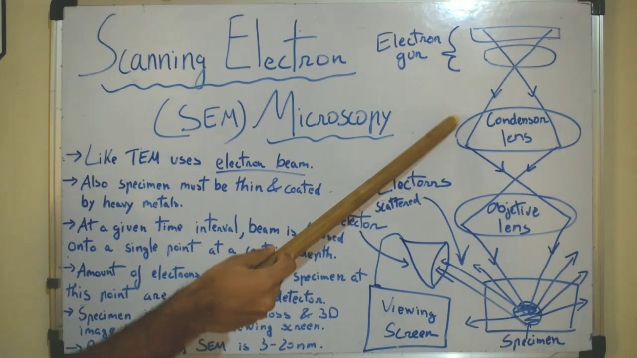 Scanning Electron Microscopy(SEM) Principle & Basics - YouTube