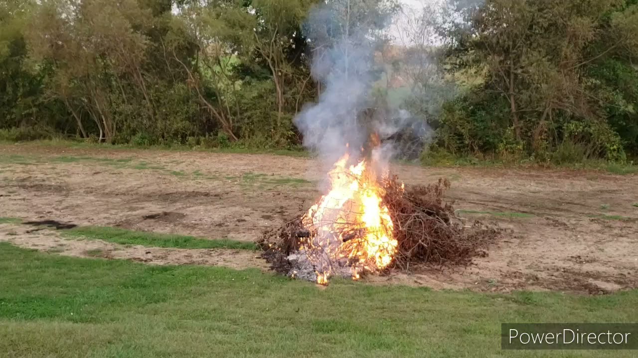 weiner roast anyone? - YouTube