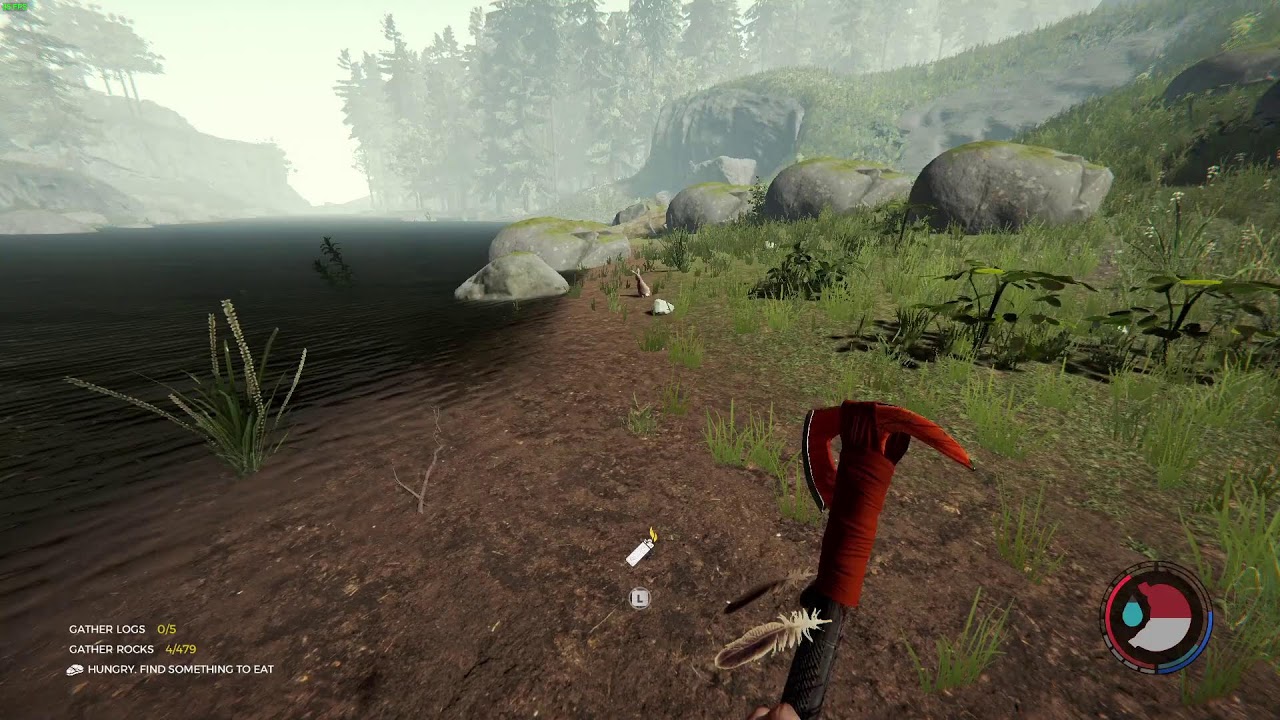 the forest, cs 2 - YouTube
