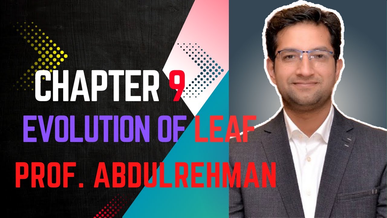 Evolution of Leaf - YouTube
