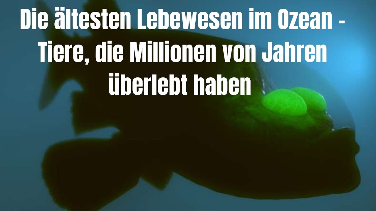 Die ältesten Lebewesen im Ozean – Tiere, die Millionen von Jahren ...