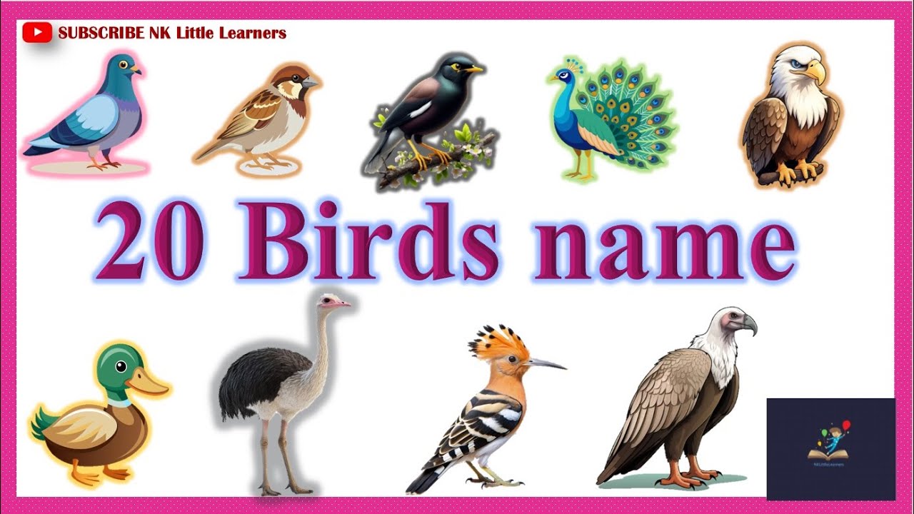 "🐦 20 Birds Name in English | Learn Bird Names for Kids 🌟" | NK Little ...