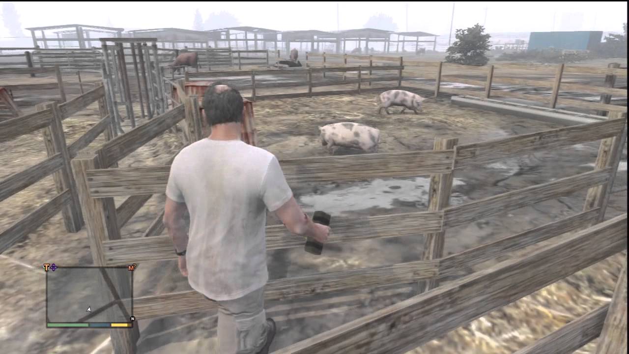 GTA 5- Hunting Boars,Pigs,Cows,Caged Monkeys - YouTube