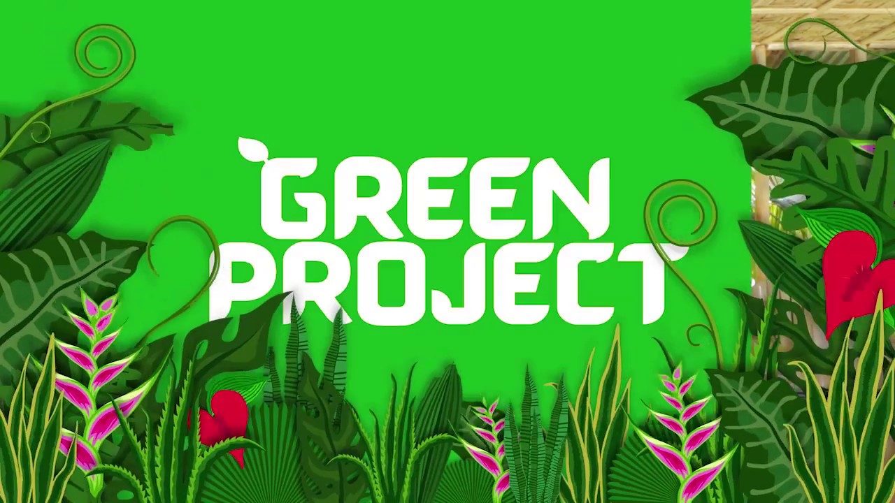 The Green Project Episode 4: Fruit Fermentation - YouTube