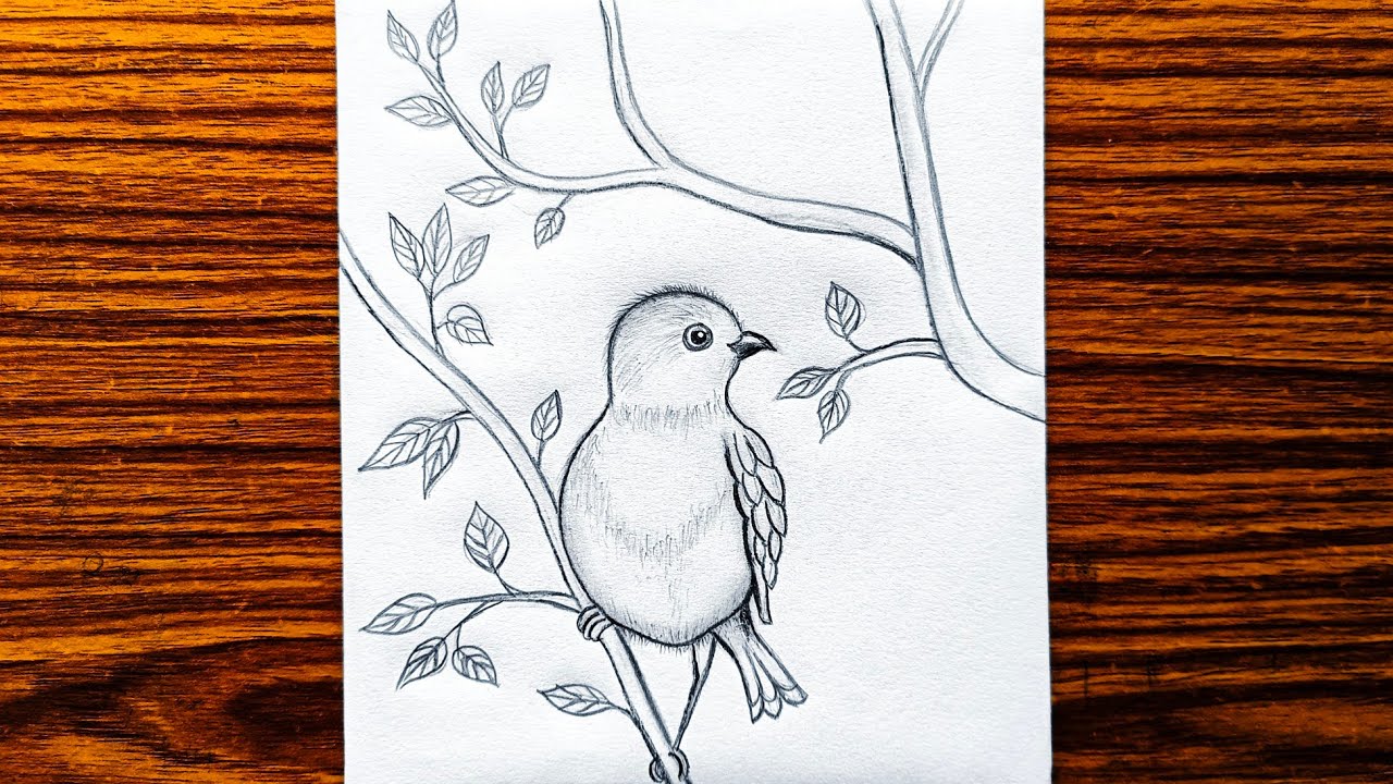 Bird drawing for beginners | bird scenery drawing | How to draw bird ...