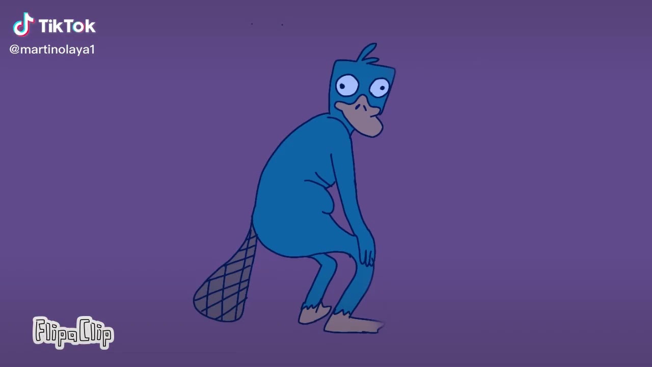 Donde esta perry !!!!!!!!!! - YouTube