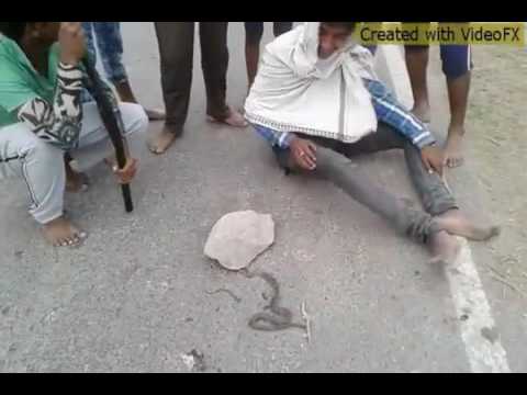 Xxx.   Morning walk     for.  Glorious tutrioul group