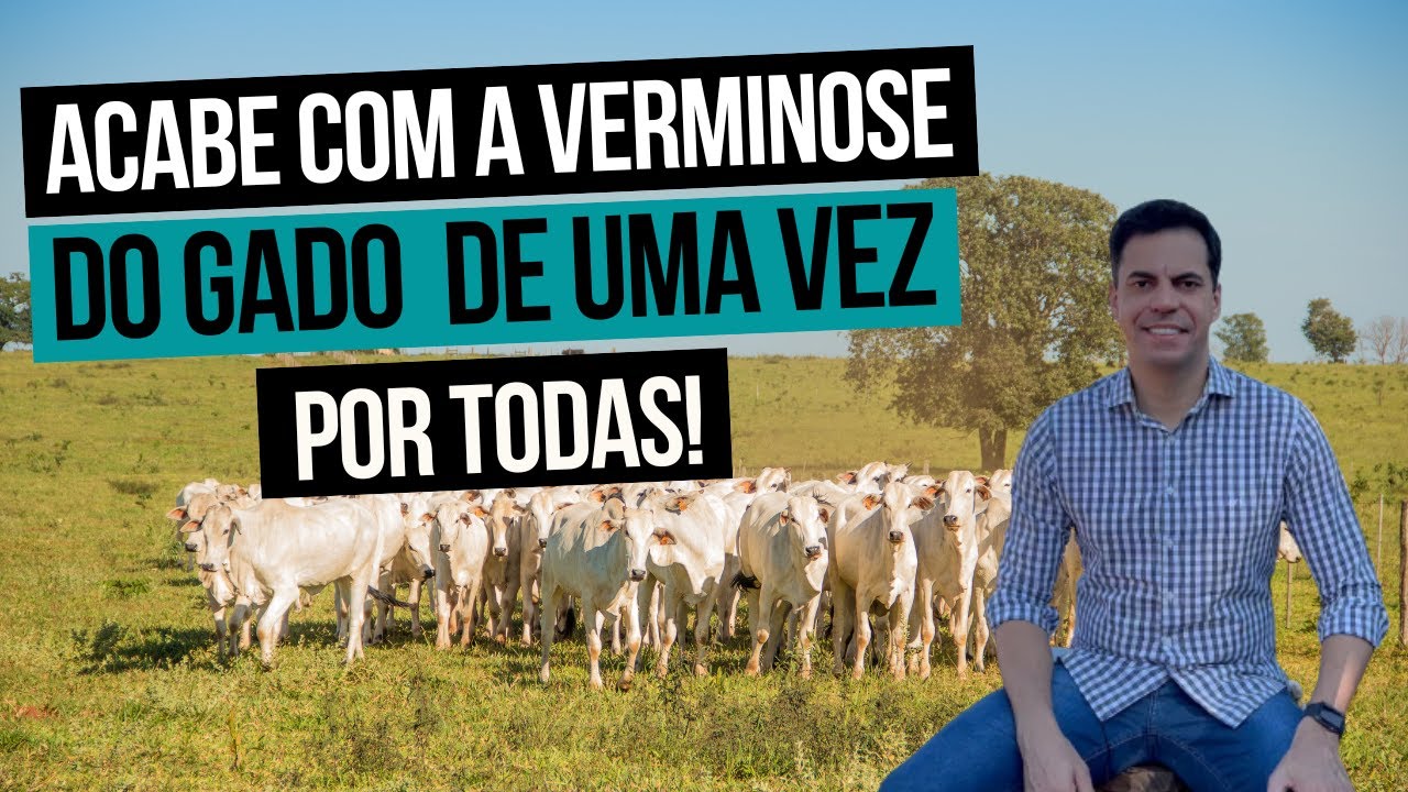 COMO ACABAR COM A VERMINOS DE UMA VEZ POR TODAS? - YouTube