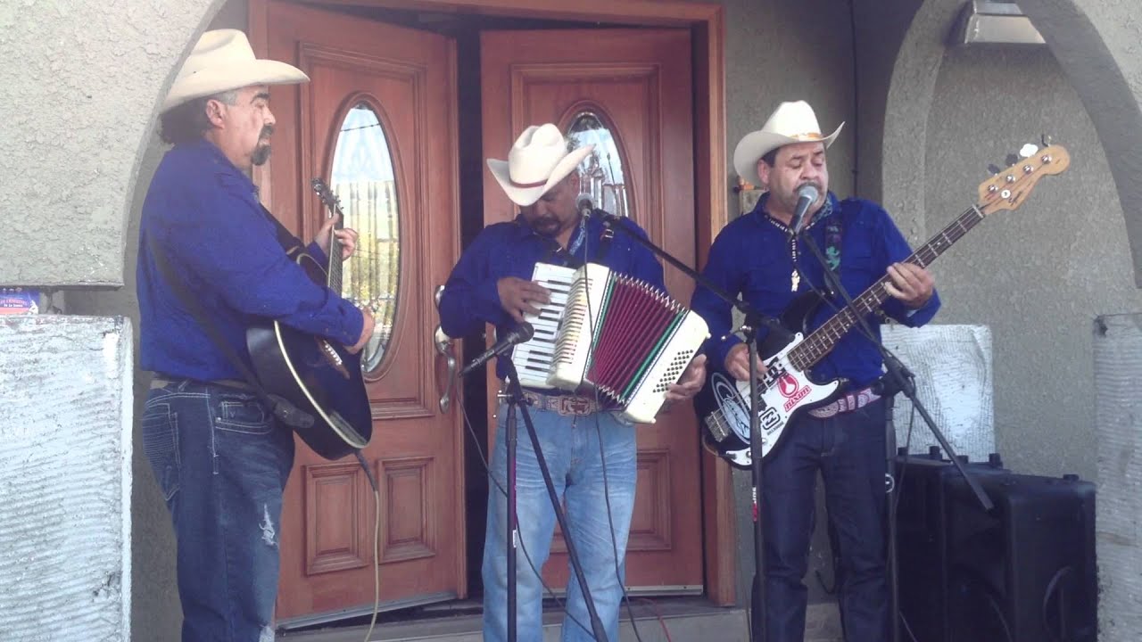 Los Chirrines de La Sierra : Paloma Azul - YouTube