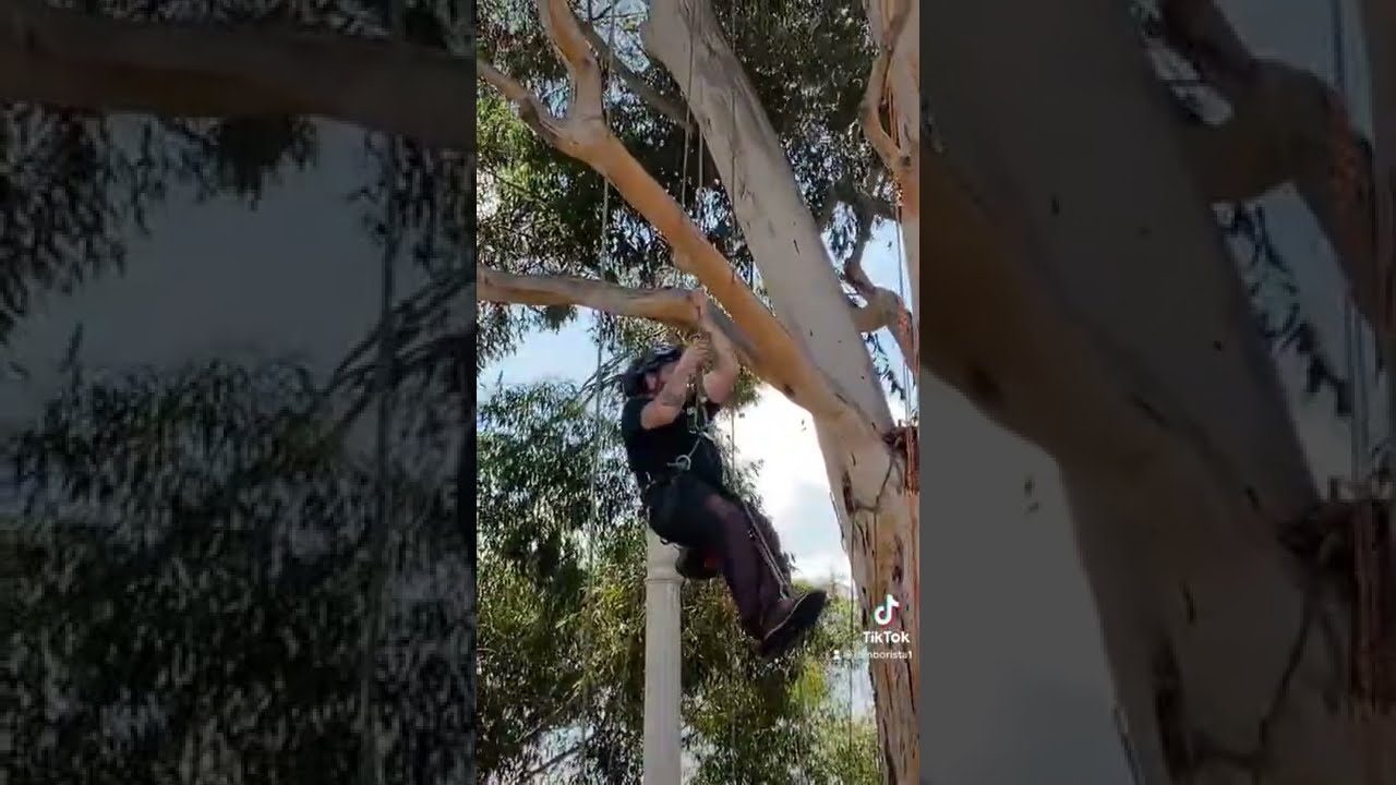 Clases de trepa - YouTube