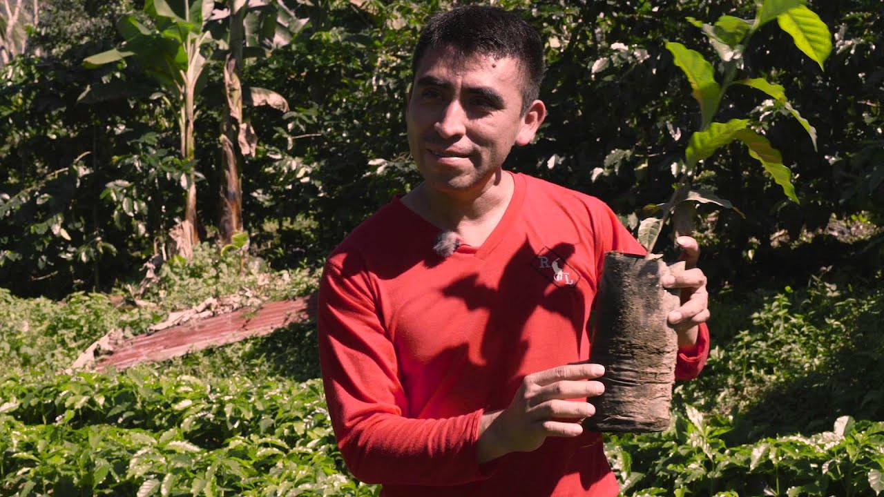 Bonaverde - Farmer Profile - Guadalupe Zaju - YouTube