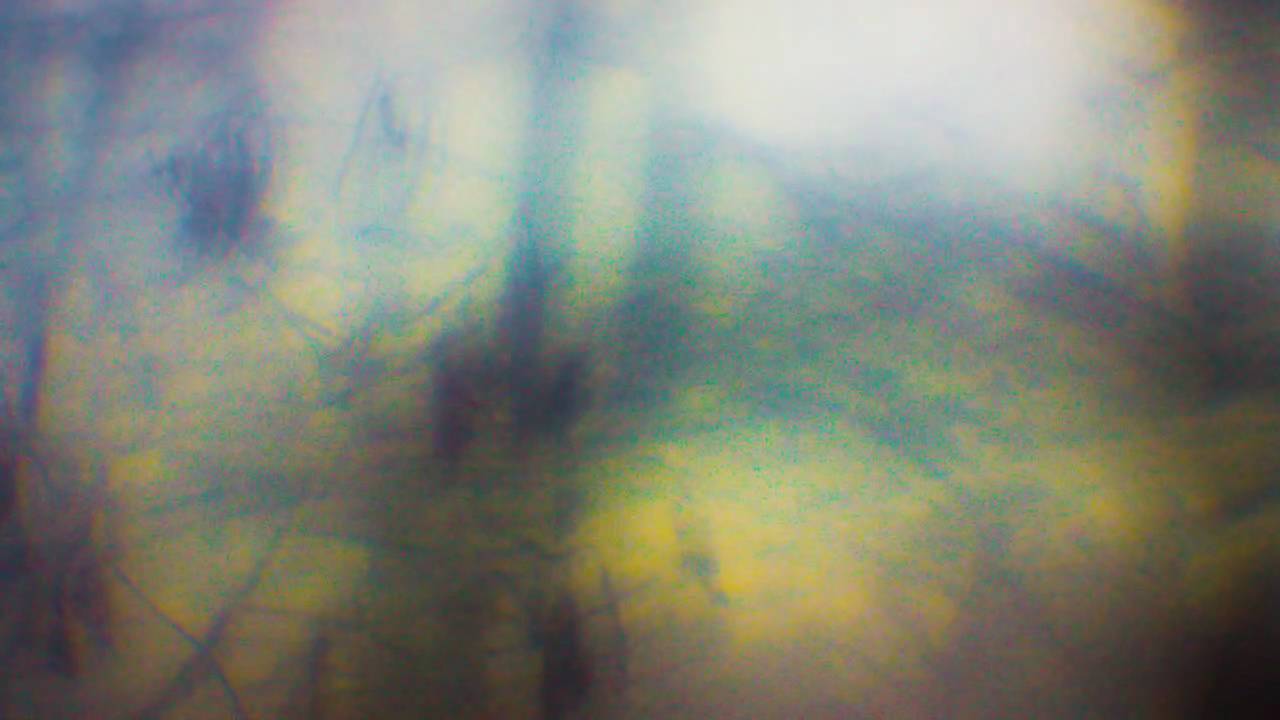 Ty Burhoe - Angel's Prayer - YouTube