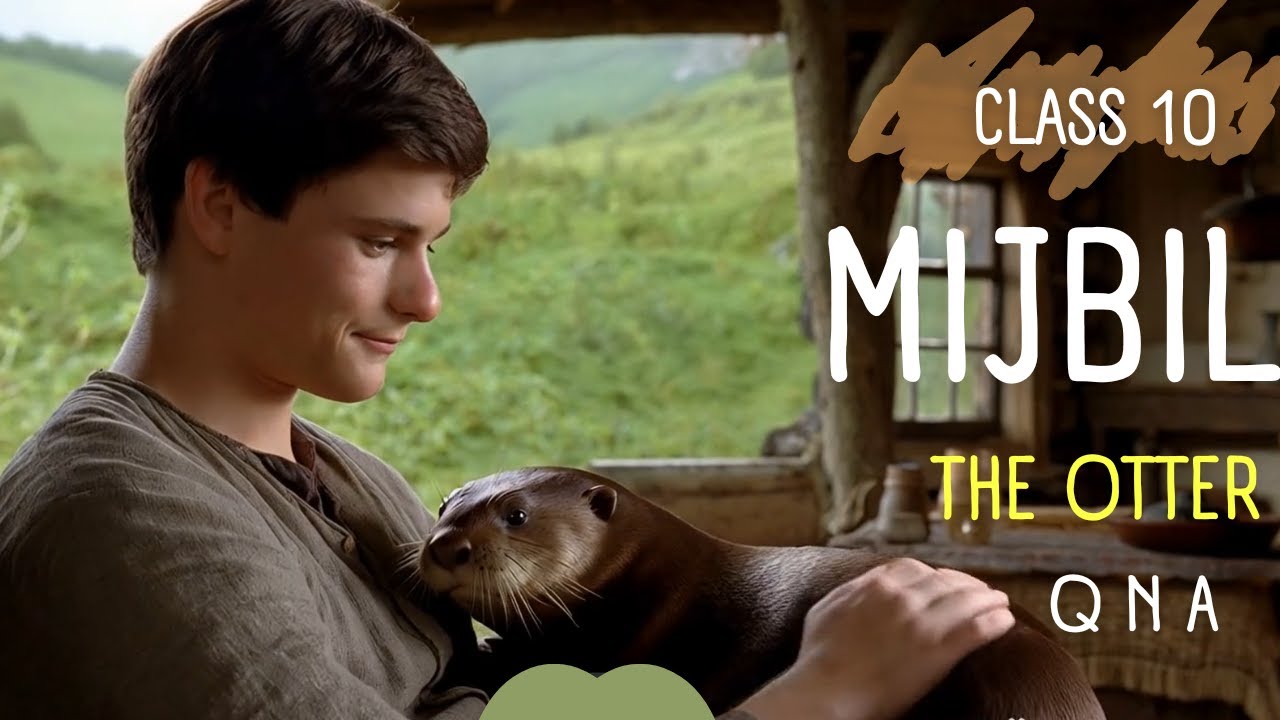 MIJBIL THE OTTER | CLASS 10 | HINDI EXPLANATION | FIRST FLIGHT - YouTube