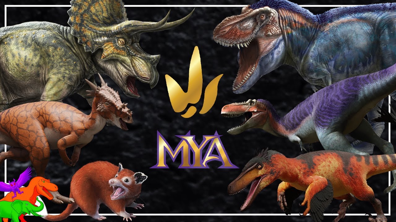 A New Type Of Trading Card Game Has Evolved!– MYA’s Dinosaur Cards ...