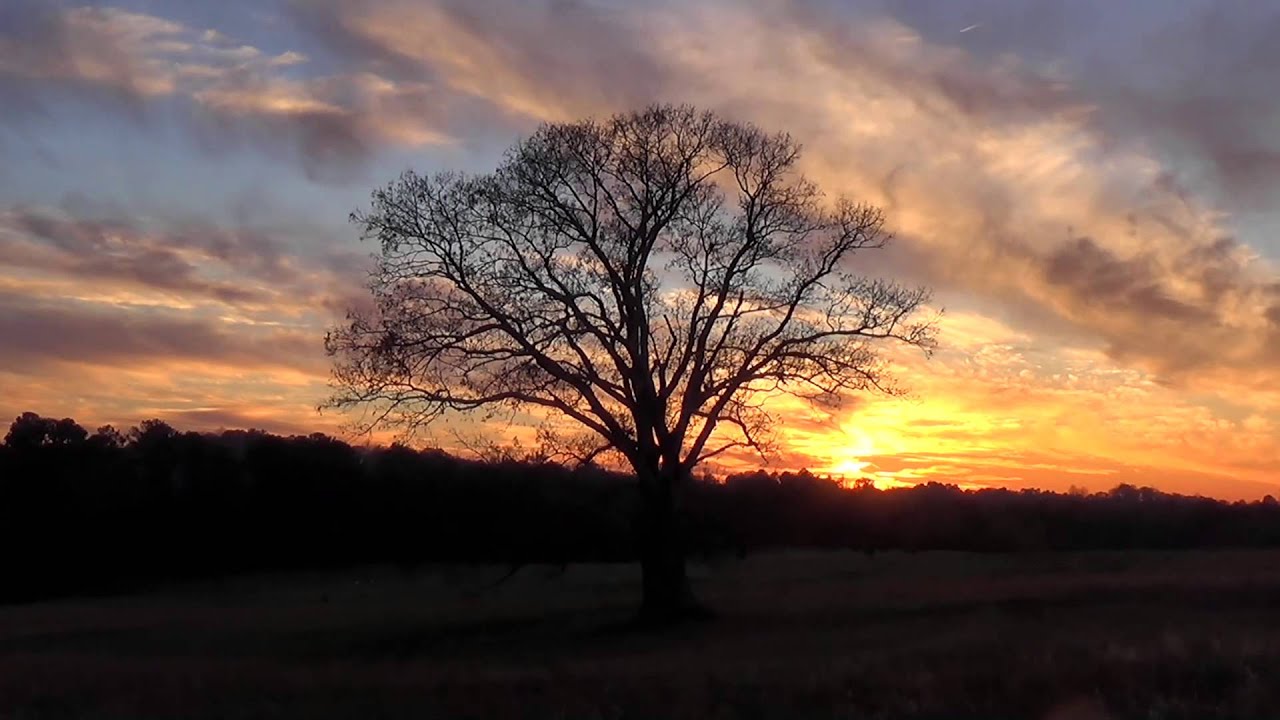 Creative Commons The sunset behind a Tree in a Field. Time Lapse. - YouTube