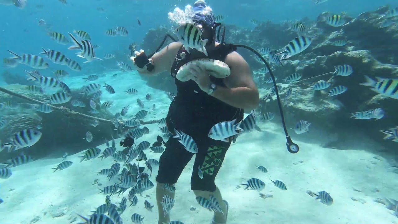 괌 액티비티 씨워커 Guam Activity Sea Walker - YouTube