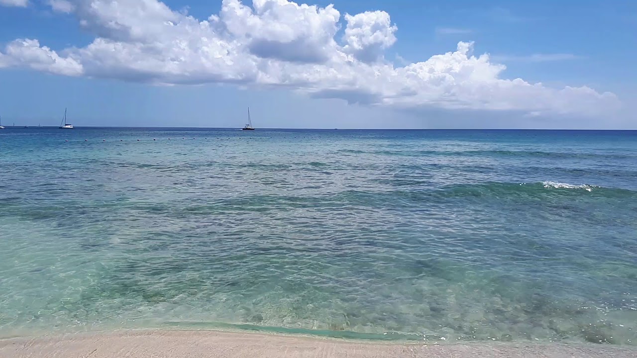 Folkestone Marine park, Barbados. - YouTube