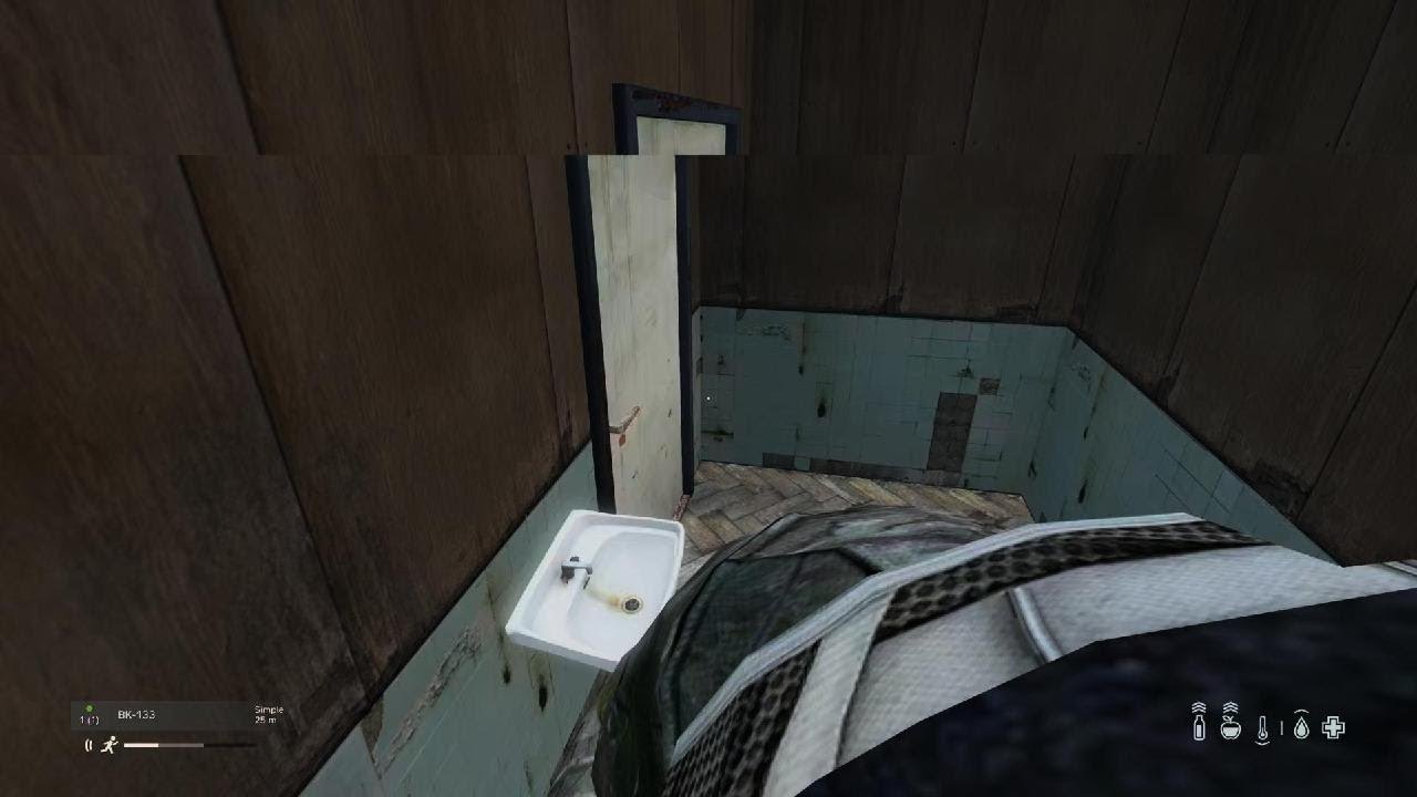 DayZ PS5 officiel quand tu veux deco mais ... - YouTube