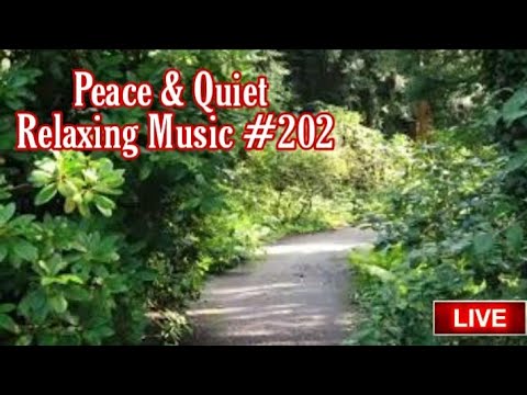 Peace and Quiet Relaxing Music, Stress Relief Relaxation, Peaceful ...