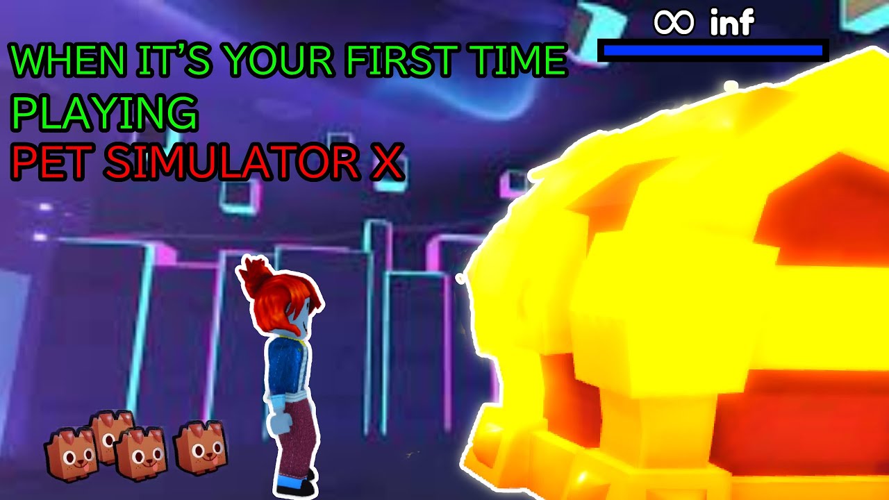 When It's Your First Time Playing Pet Simulator X (Meme) - YouTube
