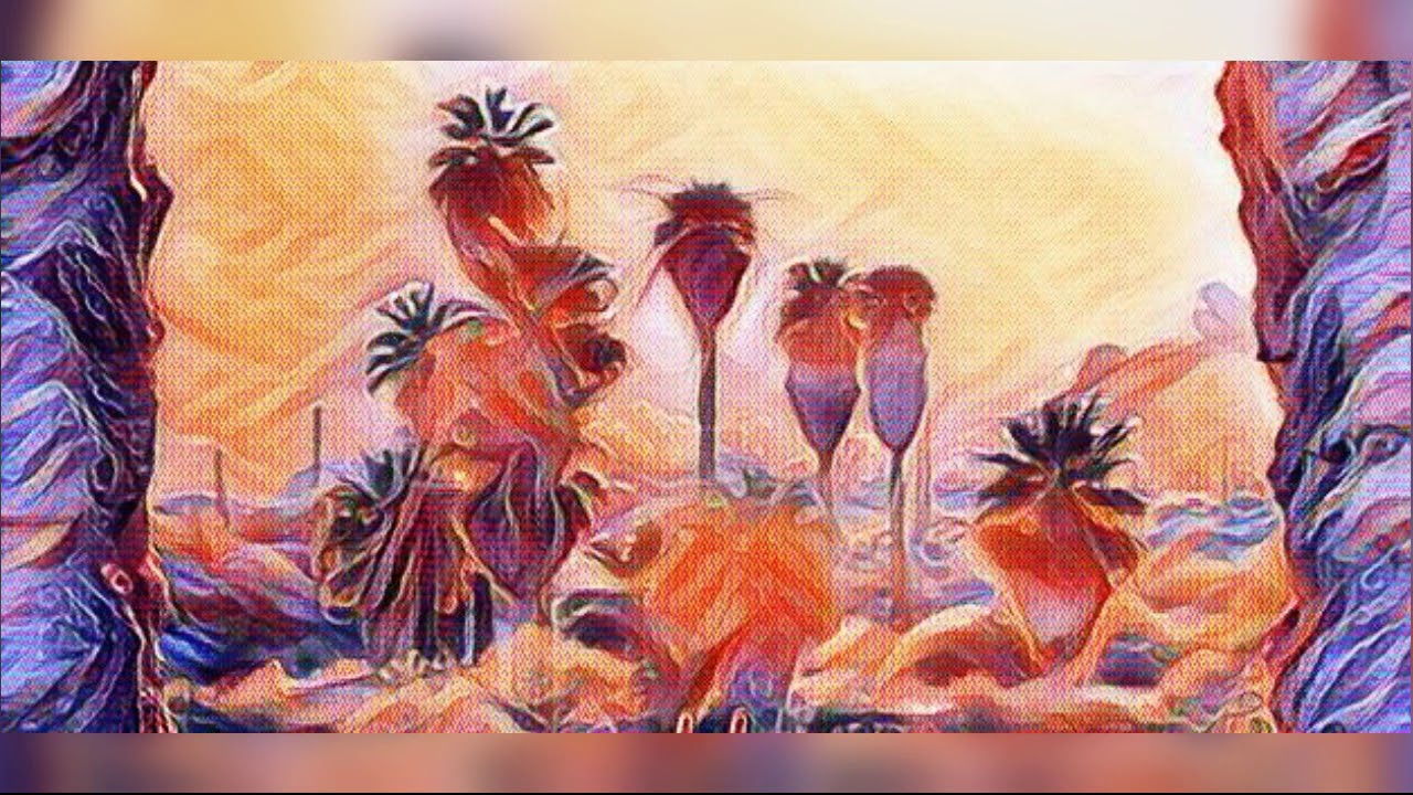 Cusco - Inca Dance - YouTube