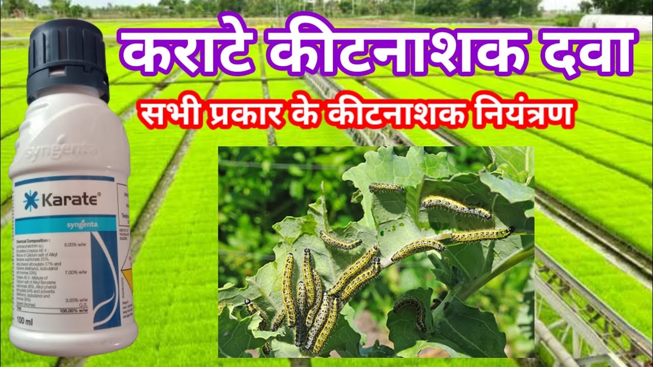 कराटे कीटनाशक दवा | karate kitnashak dawa @AmitBeejBhandarM - YouTube