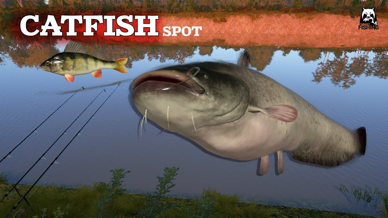 Russian Fishing 4 RF4 Akhtuba River | SPOT SOMA. PECANJE SOMA NA MRTVOG ...