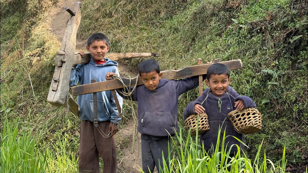 Poor Nepali Struggling Their Life || Working Hard In Countryside ...