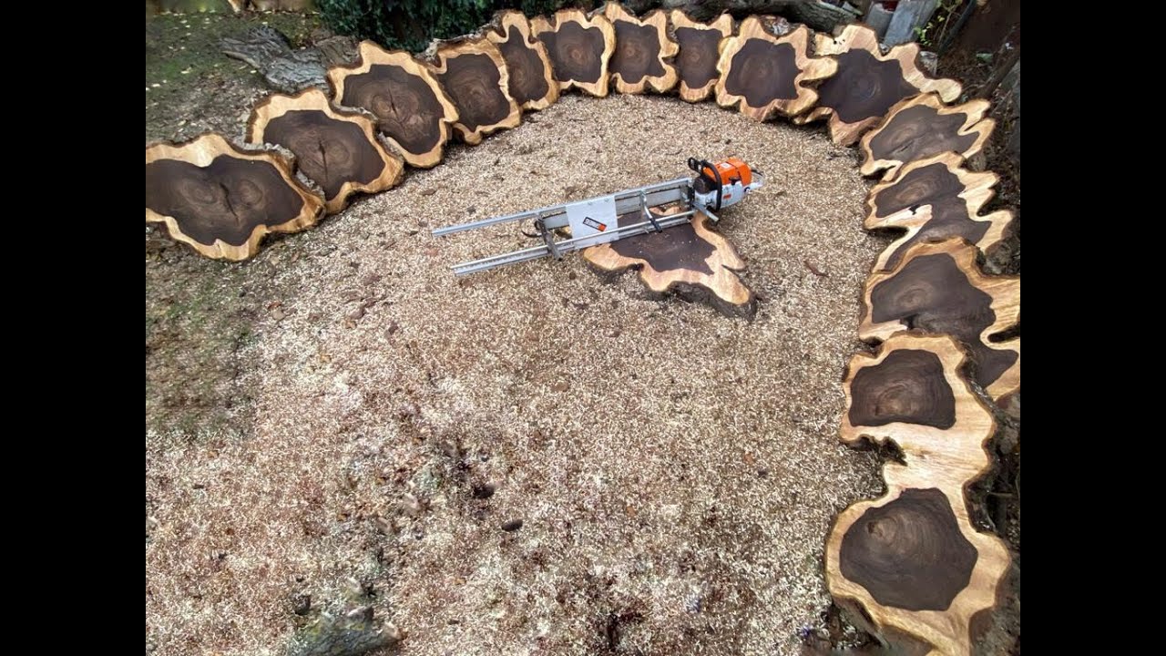 Man vs Walnut - complete removal from Tree-top to stump and root # ...