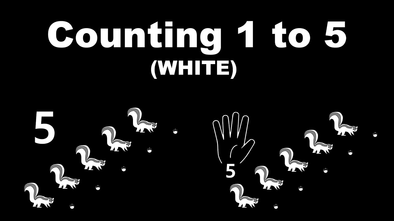 CVI 뇌성(피질)시각장애 CVI Counting 1 to 5:2-1-1(WHITE/black) - YouTube