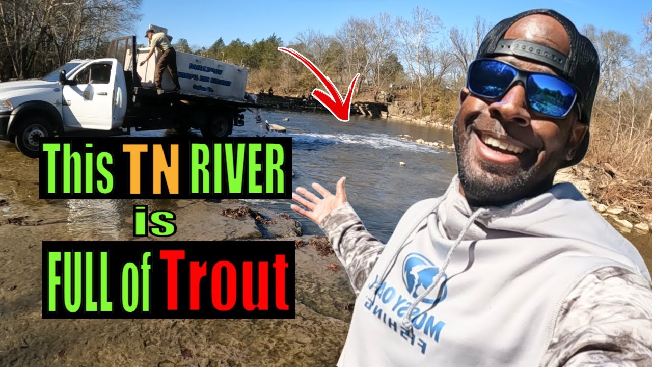 FISHING a TN River STOCKED FULL of TROUT - YouTube