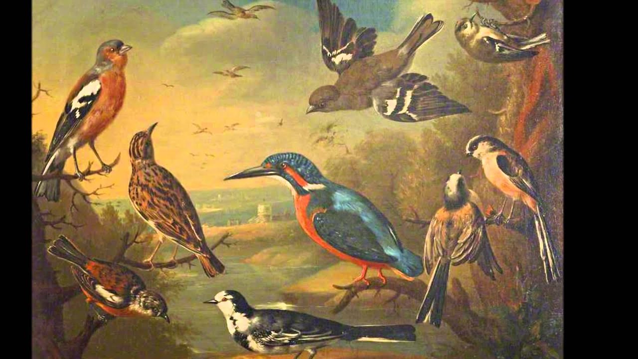 Night-time songsters in Colchester town. - YouTube