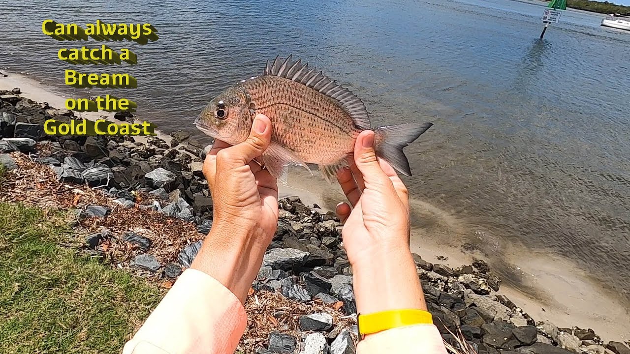 Always a fun day out catching fish / Gold Coast Land Based Fishing ...
