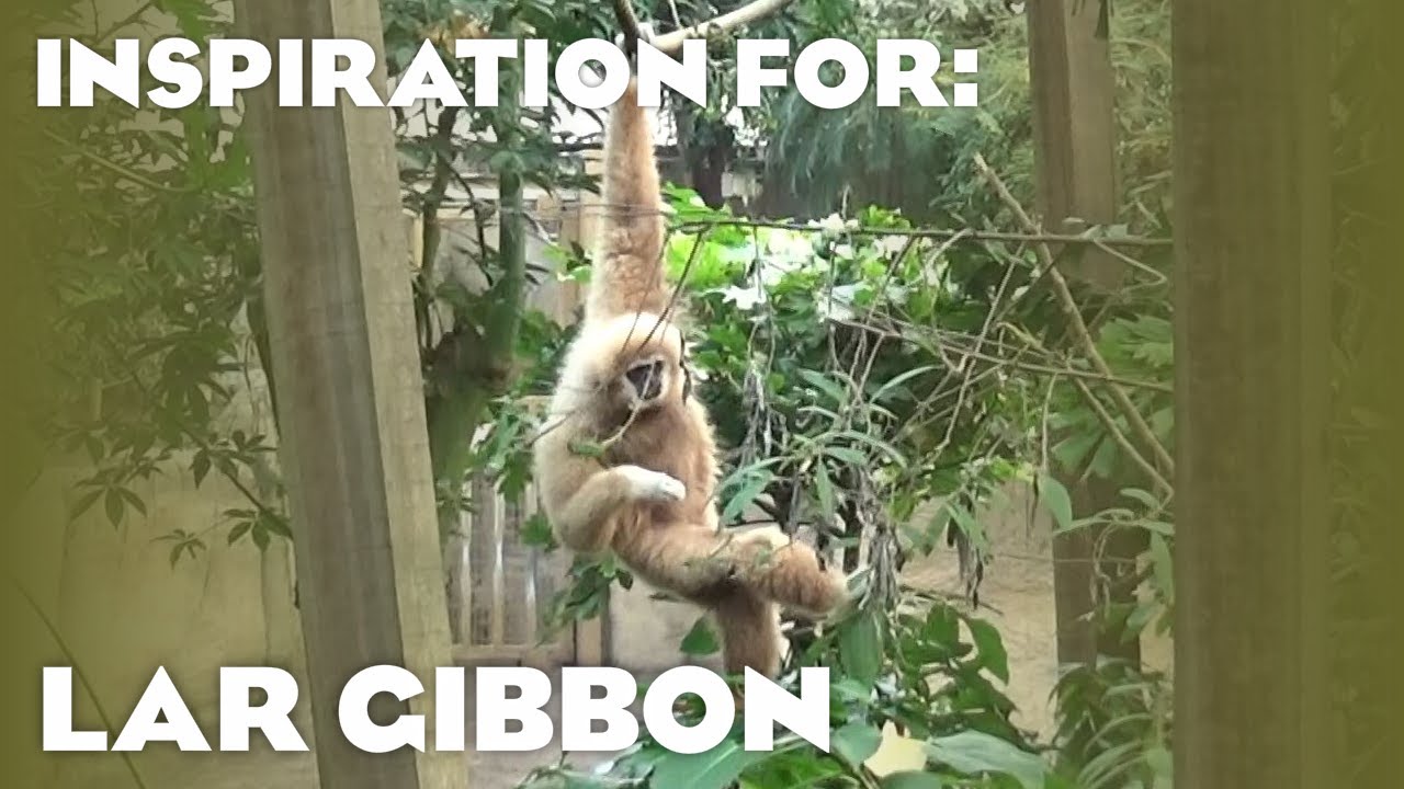 12 Real Gibbon Habitats! (Planet Zoo: Tropical Pack Inspiration) - YouTube