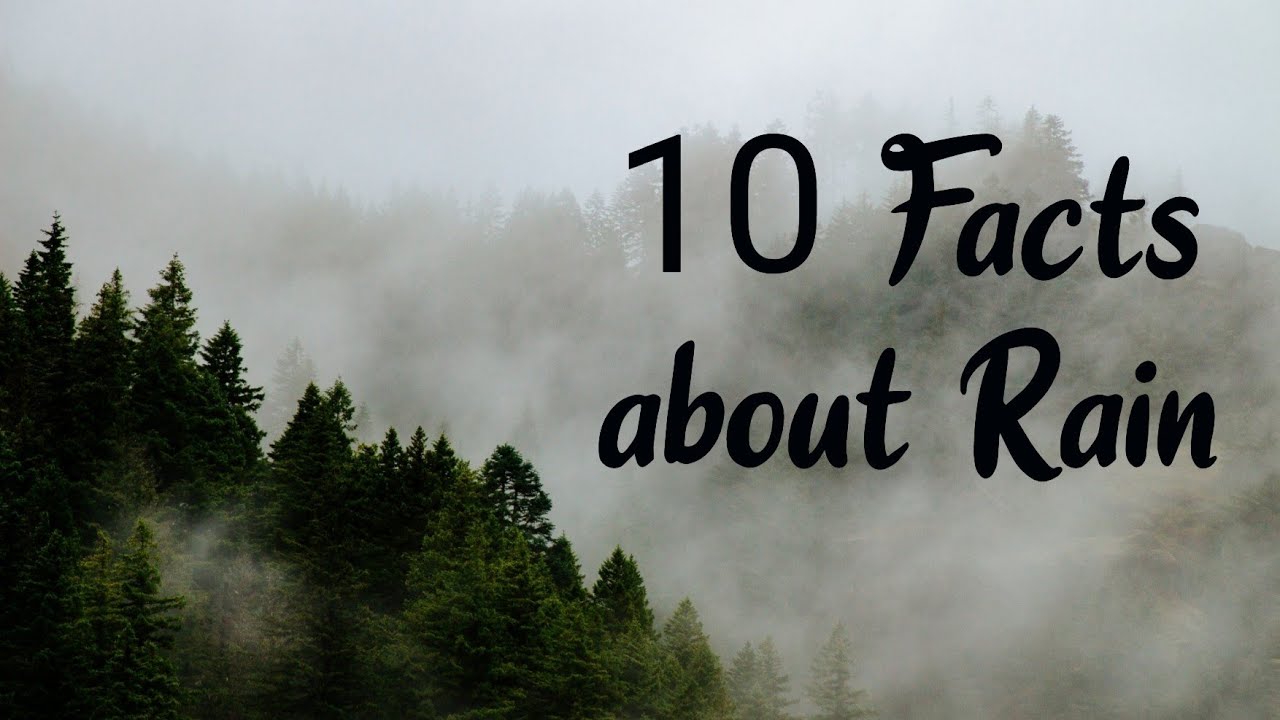 NATURE FACTS S2: 10 Interesting Facts about Rain | Unknown Facts (2021 ...