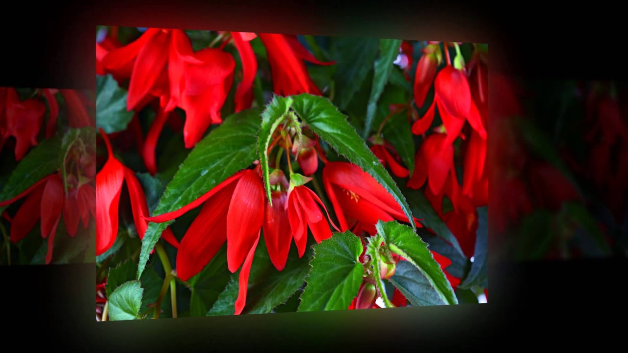 Padhiye Padhiye - YouTube